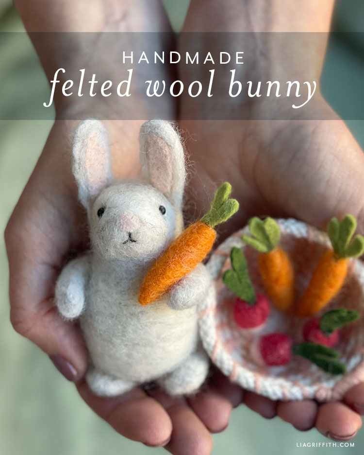 Felted Bunny for Kids: Easy DIY Tutorial - Lia Griffith