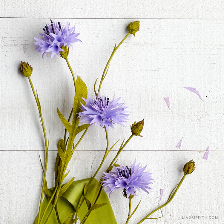 Crepe Paper Cornflowers & Buds (Workshop) - Lia Griffith