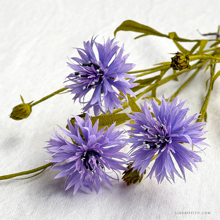 Crepe Paper Cornflowers & Buds (Workshop) - Lia Griffith
