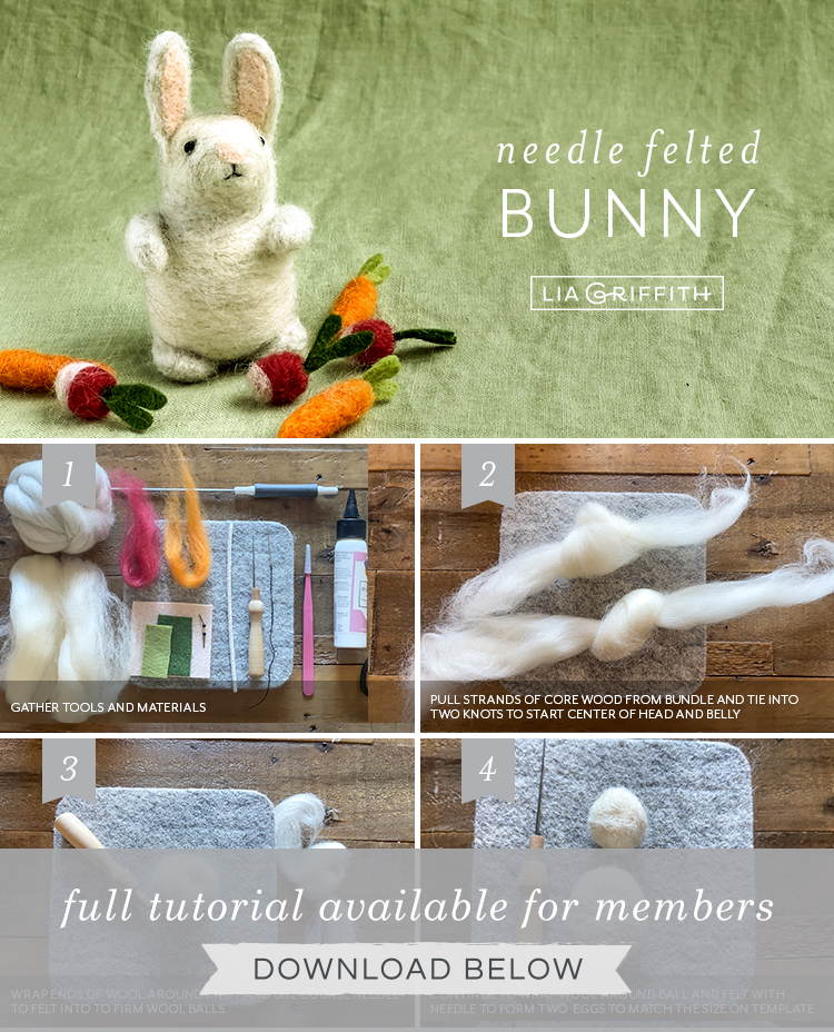 Felted Bunny for Kids: Easy DIY Tutorial - Lia Griffith