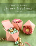 Video Tutorial: Frosted Paper Flower Treat Box - Lia Griffith