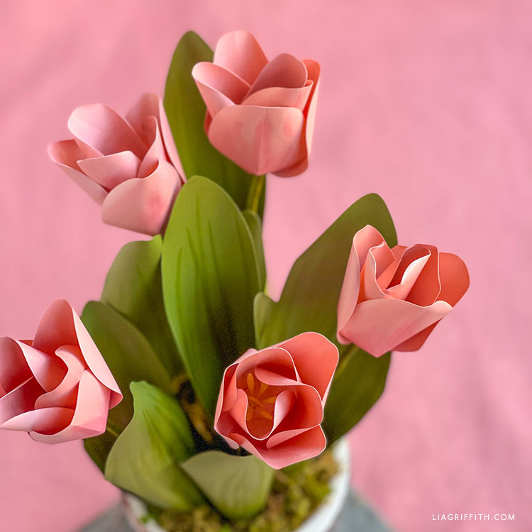 Frosted Paper Tulips DIY Template & Tutorial - Lia Griffith