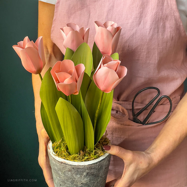 Frosted Paper Tulips DIY Template & Tutorial - Lia Griffith