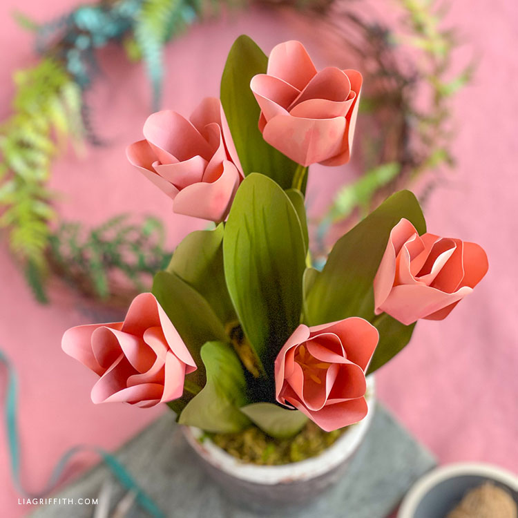 Frosted Paper Tulips DIY Template & Tutorial - Lia Griffith