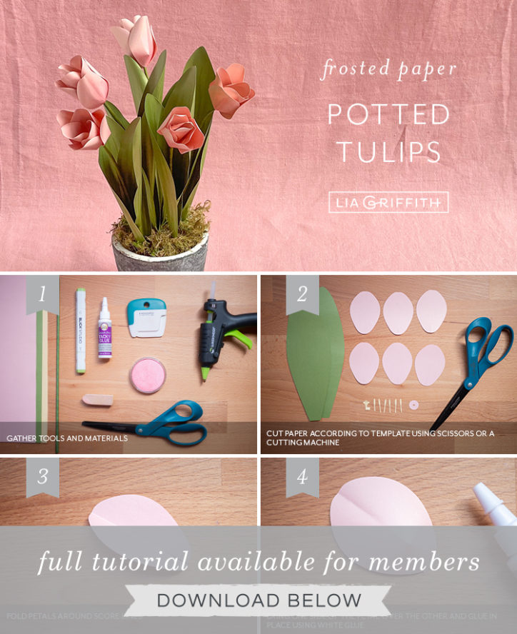 Frosted Paper Tulips DIY Template & Tutorial - Lia Griffith