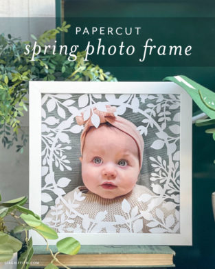 Papercut Spring Photo Frame Template & SVG File - Lia Griffith