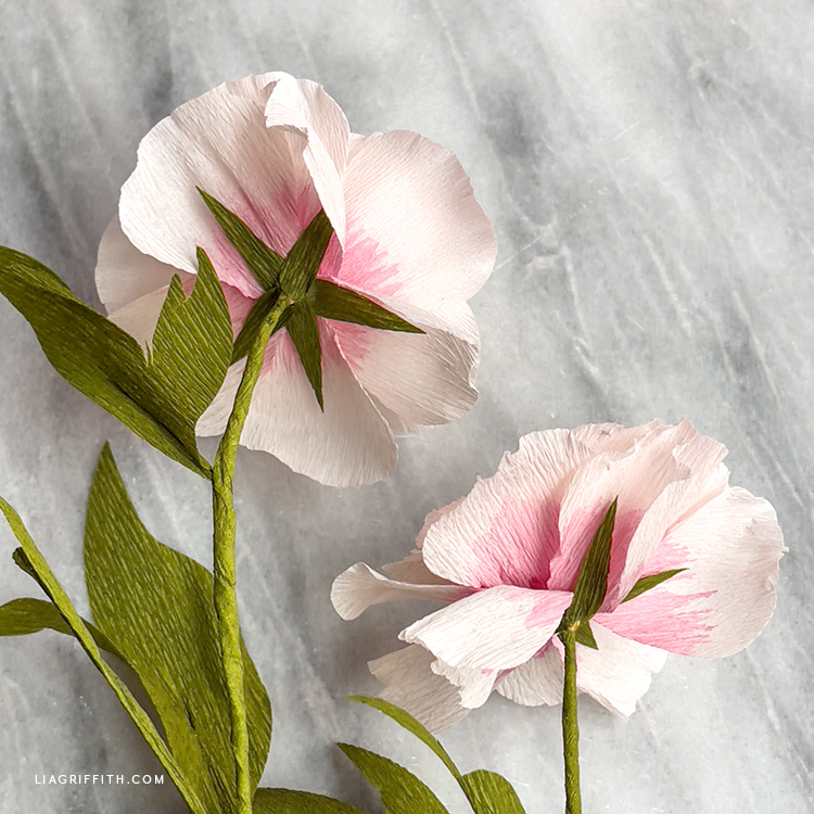 Member Make: Crepe Paper Butterfly Ranunculus - Lia Griffith