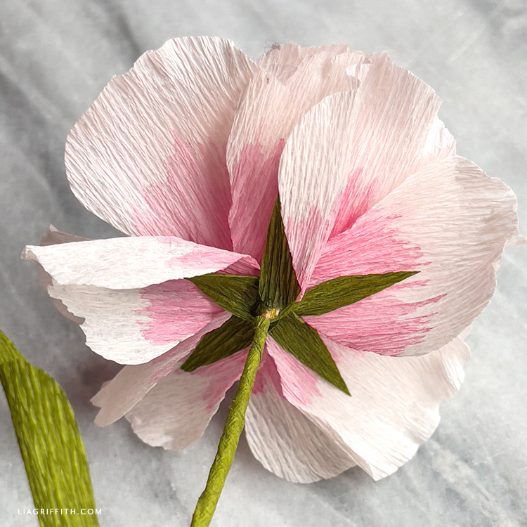 Member Make: Crepe Paper Butterfly Ranunculus - Lia Griffith
