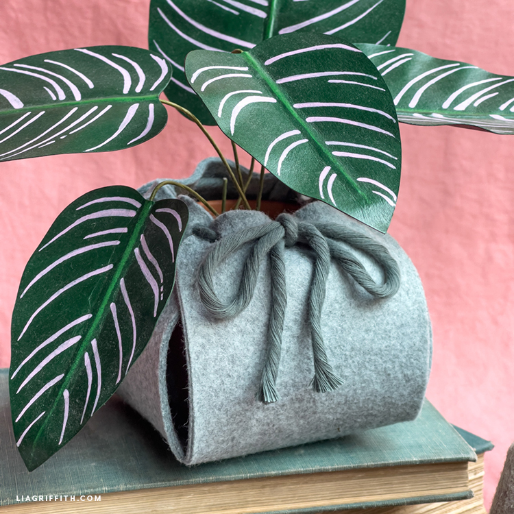 Felt Pot Cover DIY Template & Tutorial - Lia Griffith