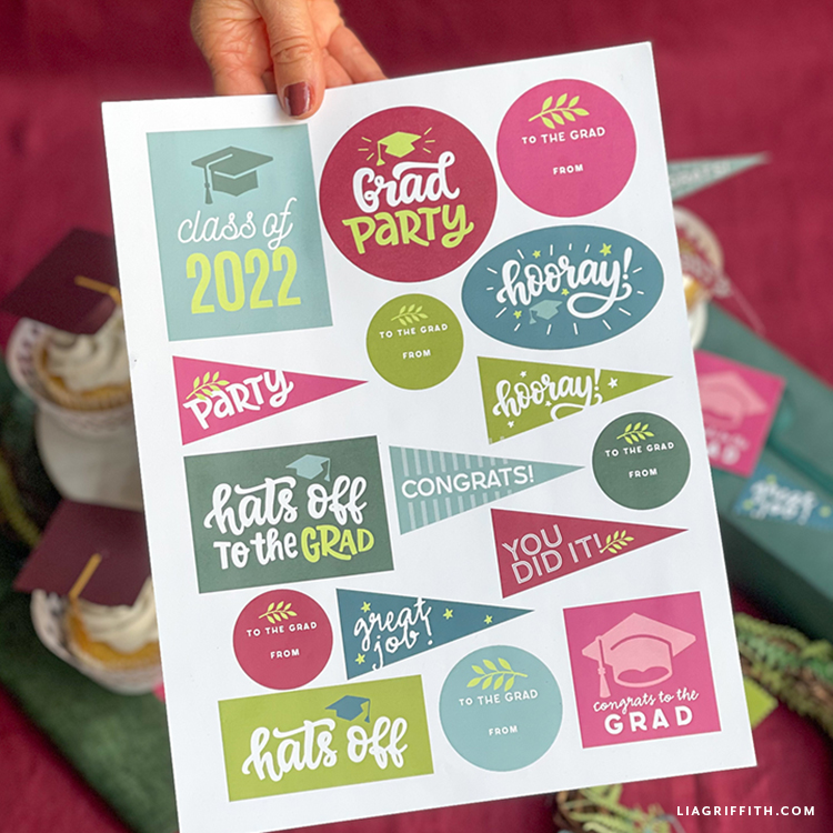 Graduation Labels (Free Printables for Your Grad Party) - Lia Griffith