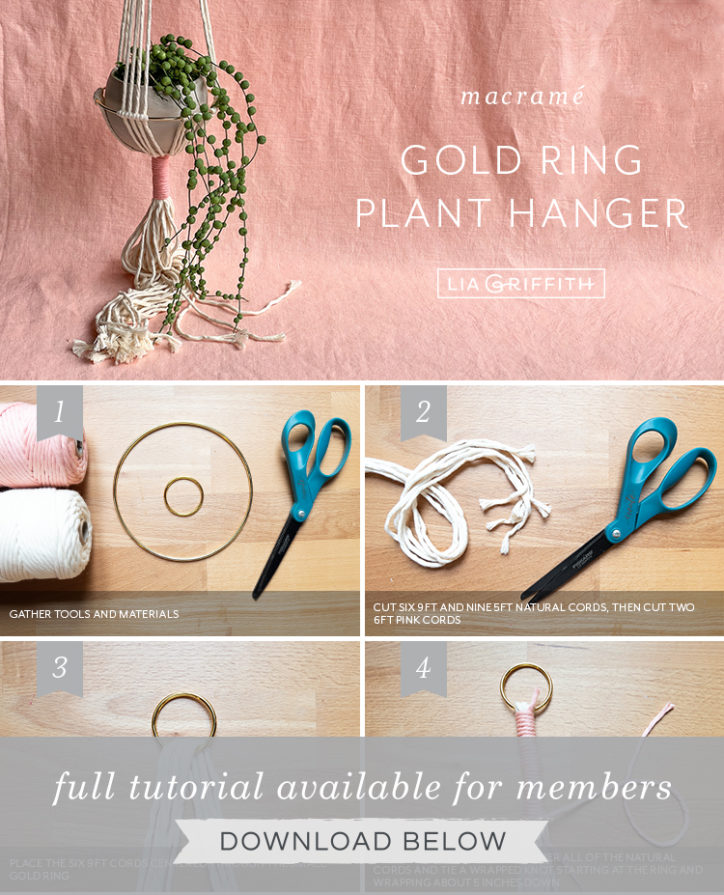 Gold Ring Macrame Plant Hanger DIY Tutorial - Lia Griffith