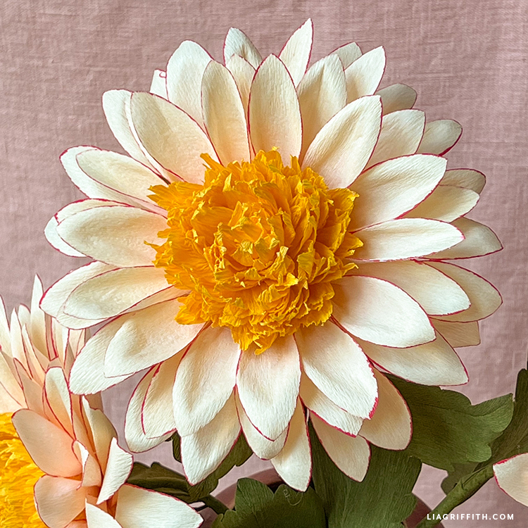 Member Make Workshop: Crepe Paper Polka Dahlia - Lia Griffith