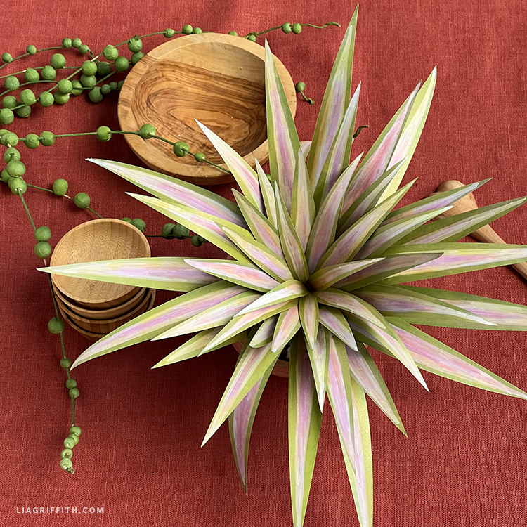 Frosted Paper Yucca Plant Template & Tutorial - Lia Griffith