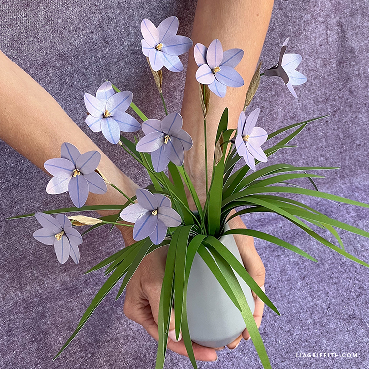 Paper Starflowers Template & Tutorial - Lia Griffith