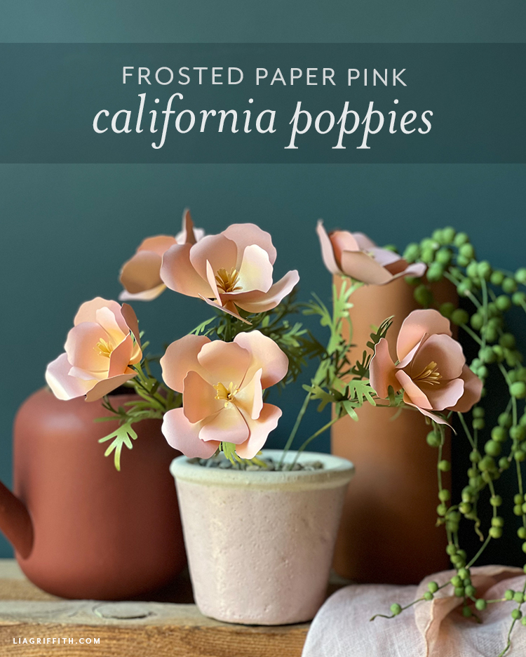 DIY Frosted Paper California Poppies