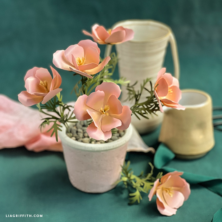 DIY Frosted Paper California Poppies