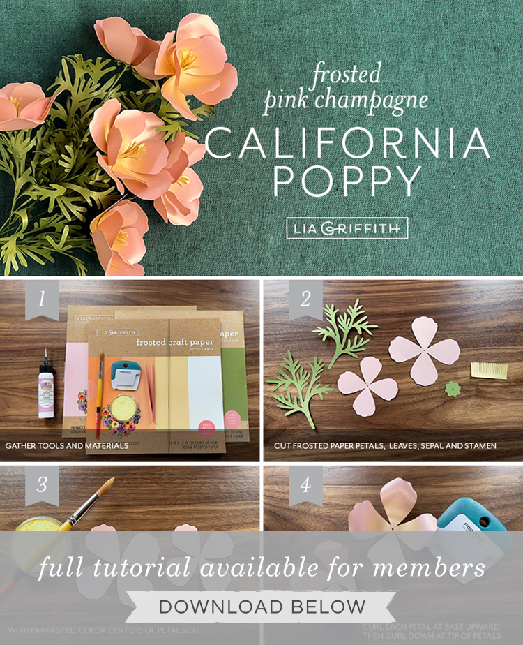 DIY Frosted Paper California Poppies