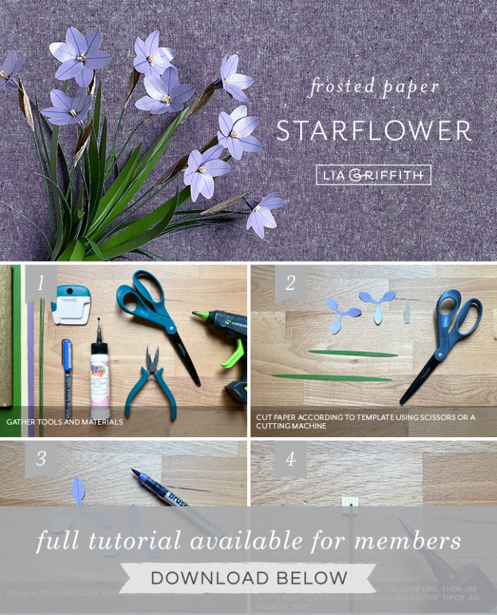 Paper Starflowers Template & Tutorial - Lia Griffith