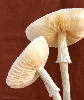 Paper Mushrooms & Moths DIY Tutorial - Lia Griffith