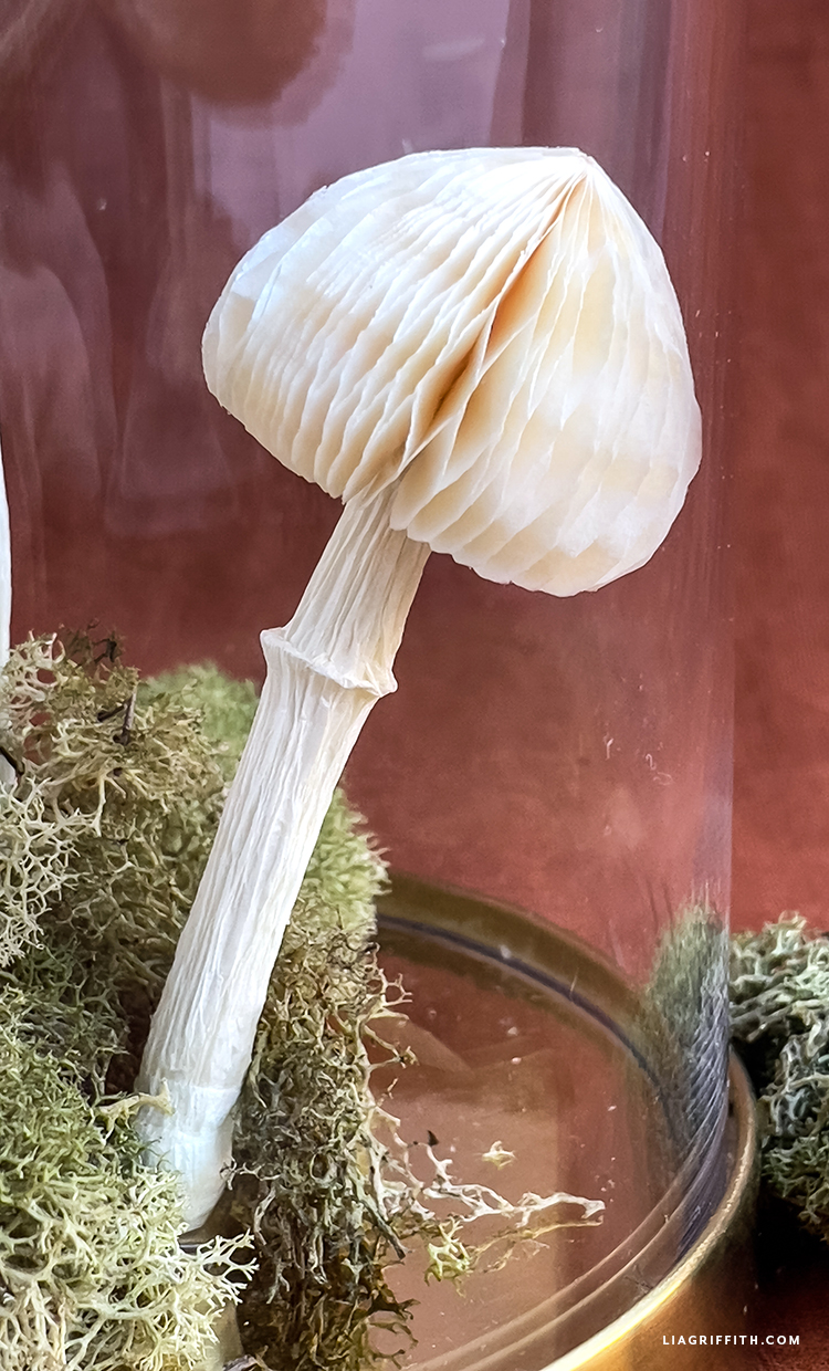 Paper Mushrooms & Moths DIY Tutorial - Lia Griffith