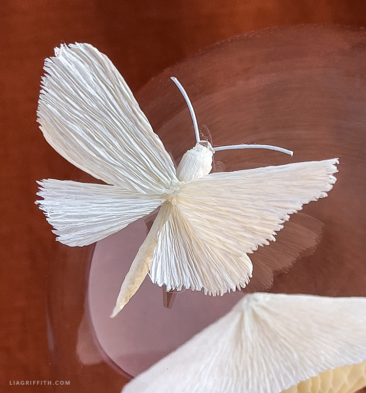 Paper Mushrooms & Moths DIY Tutorial - Lia Griffith