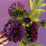 Burgundy Crepe Paper Dahlia Template & Tutorial - Lia Griffith