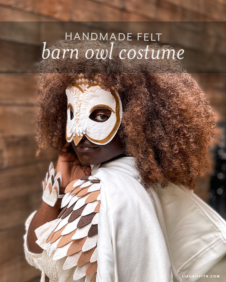 Felt Owl Costume DIY Pattern & Tutorial - Lia Griffith
