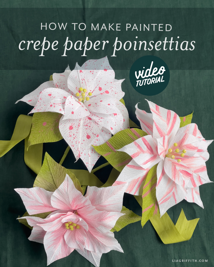 Painted Pink Crepe Paper Poinsettias Template & Tutorial - Lia Griffith