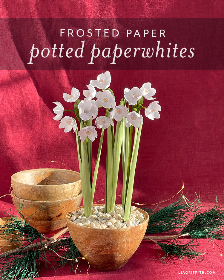 Frosted Paper Potted Paperwhites (Narcissus) Template & Tutorial - Lia ...