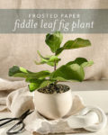 Frosted Paper Fiddle Leaf Fig Plant Template & Tutorial - Lia Griffith