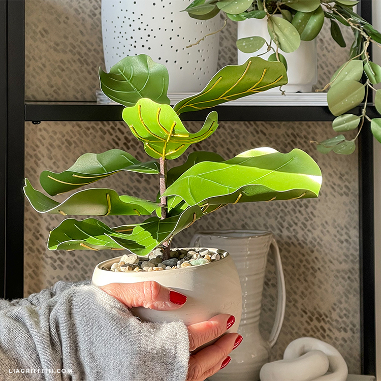 Frosted Paper Fiddle Leaf Fig Plant Template & Tutorial - Lia Griffith