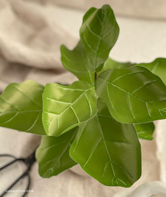 Frosted Paper Fiddle Leaf Fig Plant Template & Tutorial - Lia Griffith