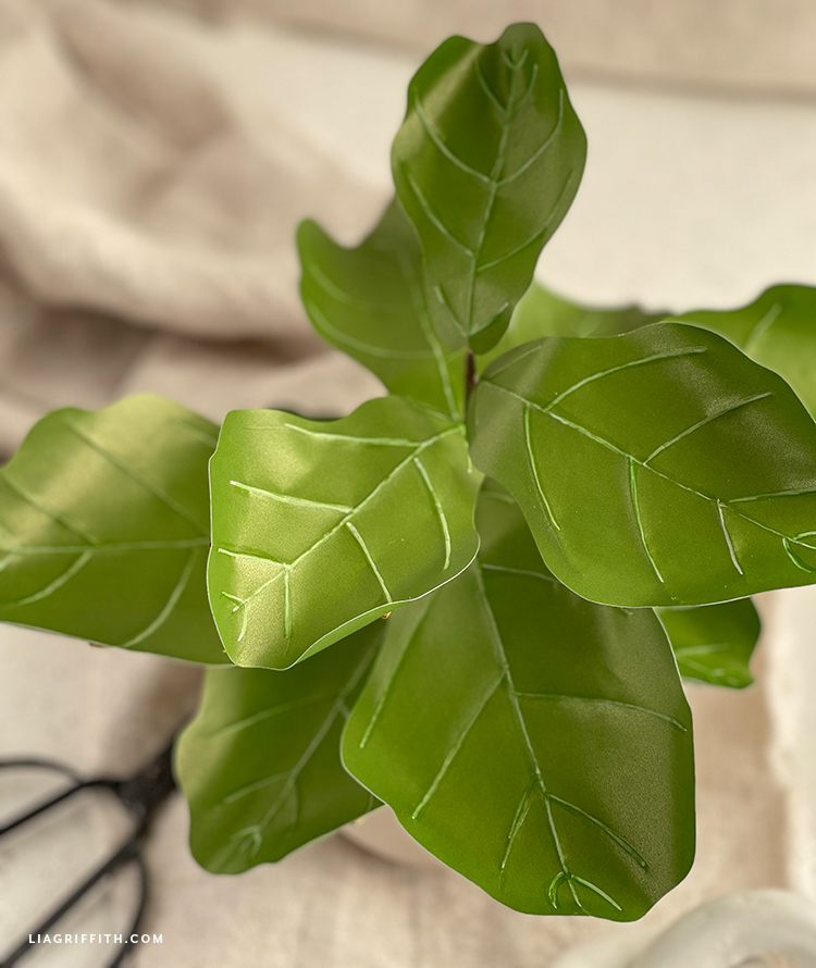 Frosted Paper Fiddle Leaf Fig Plant Template & Tutorial - Lia Griffith