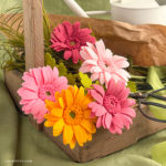 Felt Gerbera Daisies Template & Tutorial - Lia Griffith