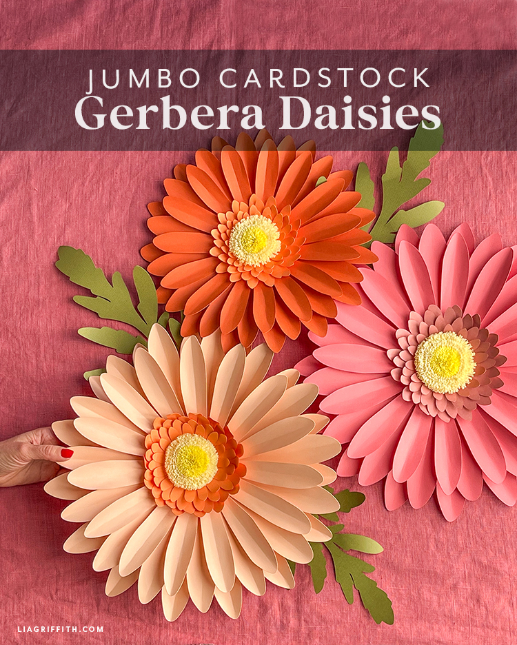 Jumbo Paper Daisies Flower Template & Tutorial - Lia Griffith