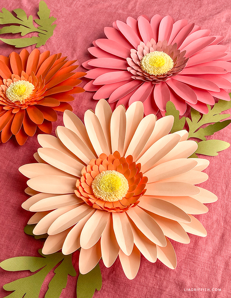 Jumbo Paper Daisies Flower Template & Tutorial - Lia Griffith
