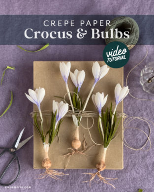 Crepe Paper Crocus and Bulb Template & Video Tutorial - Lia Griffith