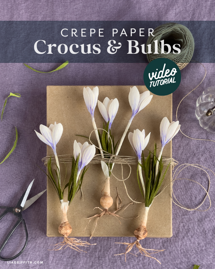 Crepe Paper Crocus and Bulb Template & Video Tutorial - Lia Griffith