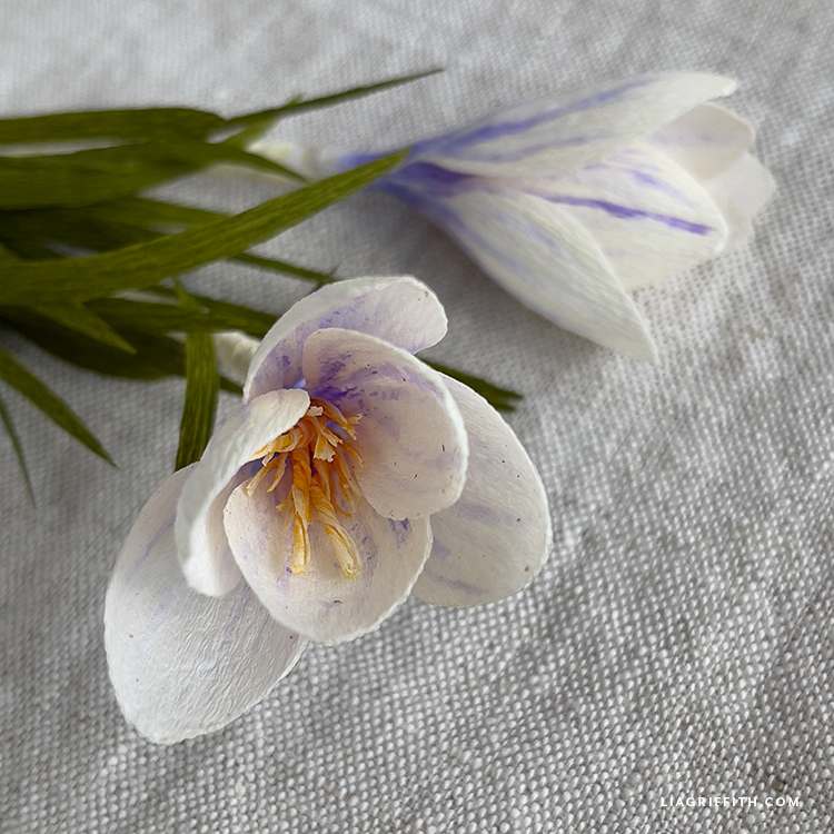 Crepe Paper Crocus and Bulb Template & Video Tutorial - Lia Griffith