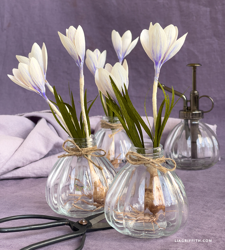 Crepe Paper Crocus and Bulb Template & Video Tutorial - Lia Griffith