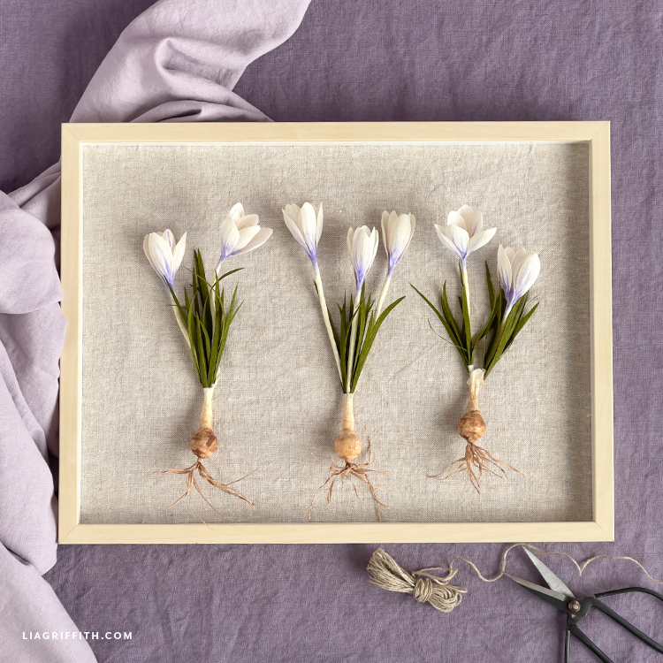 Crepe Paper Crocus and Bulb Template & Video Tutorial - Lia Griffith