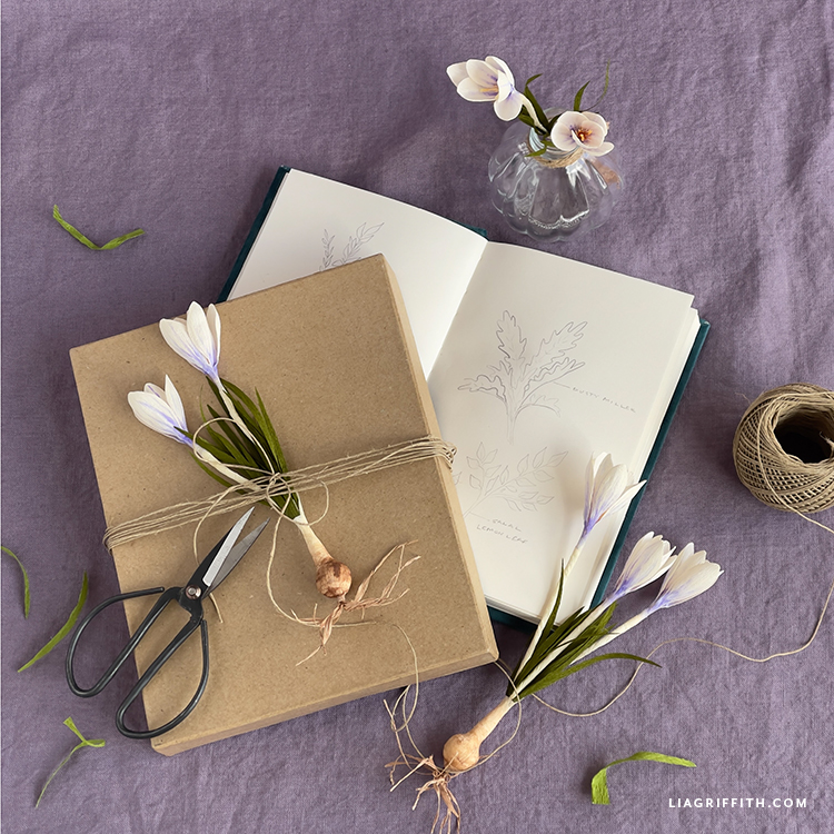 Crepe Paper Crocus and Bulb Template & Video Tutorial - Lia Griffith