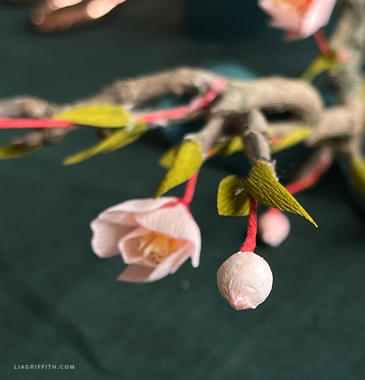 VIDEO: Blooming Quince Branch - Lia Griffith