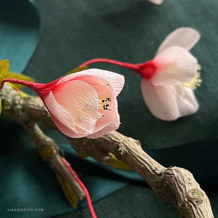 VIDEO: Blooming Quince Branch - Lia Griffith