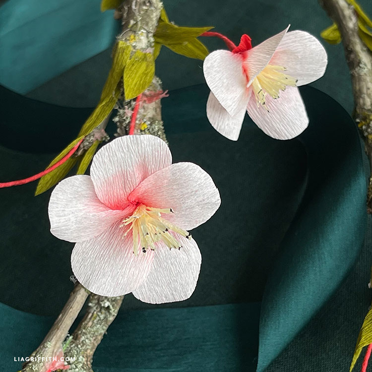 VIDEO: Blooming Quince Branch - Lia Griffith