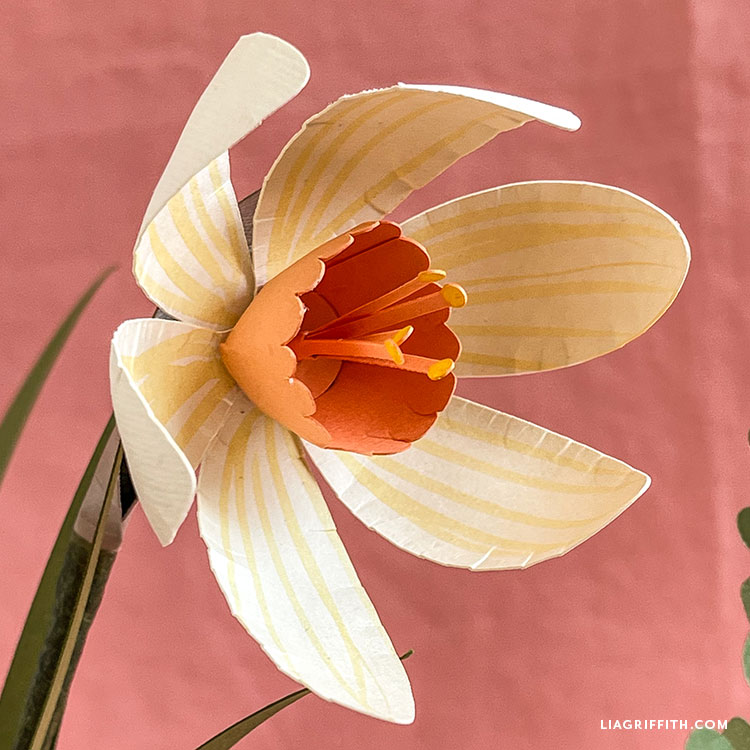 Cardstock Paper Daffodils - Lia Griffith