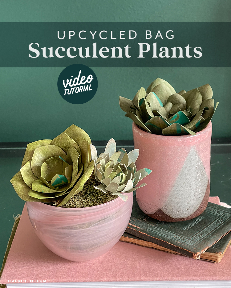 VIDEO: Upcycled Paper Bag Succulents - Lia Griffith