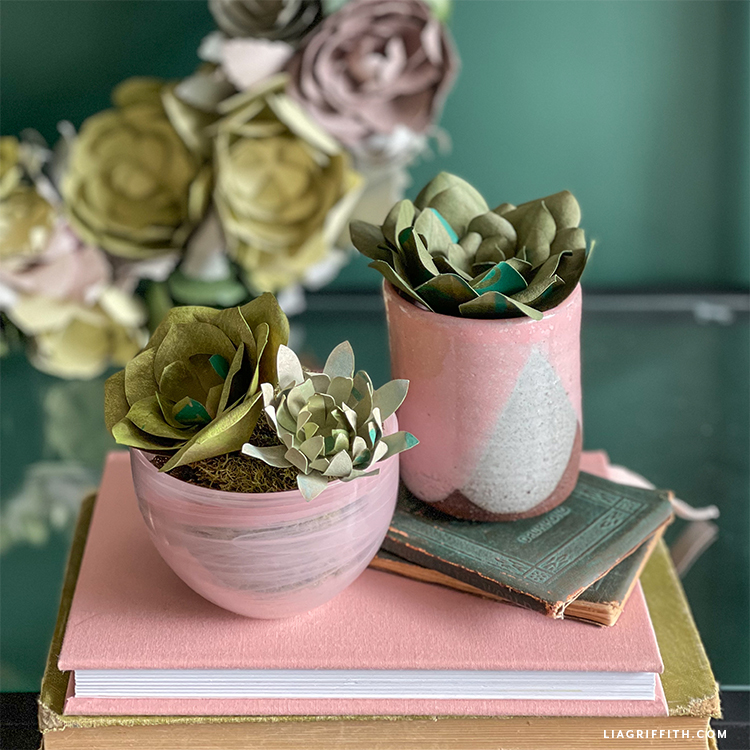 VIDEO: Upcycled Paper Bag Succulents - Lia Griffith