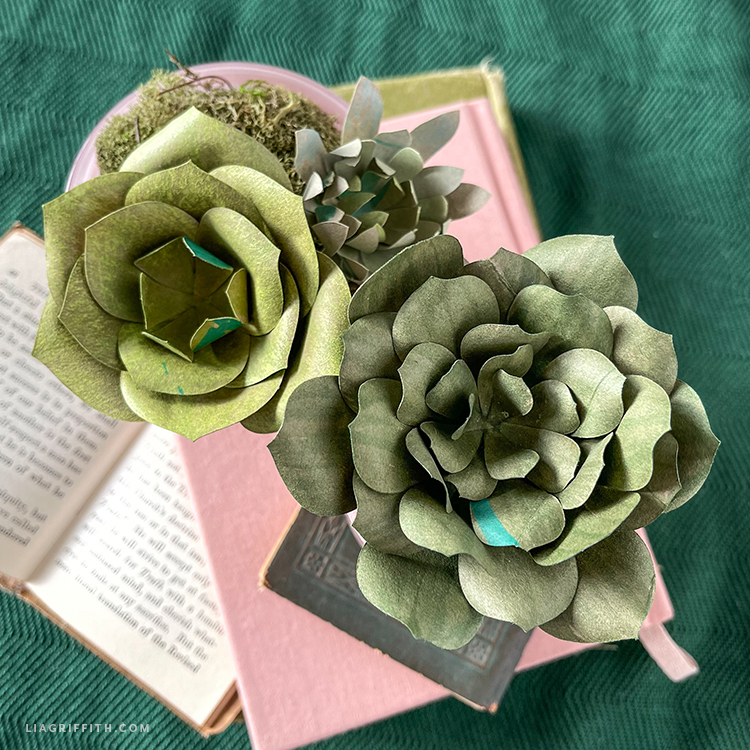 VIDEO: Upcycled Paper Bag Succulents - Lia Griffith