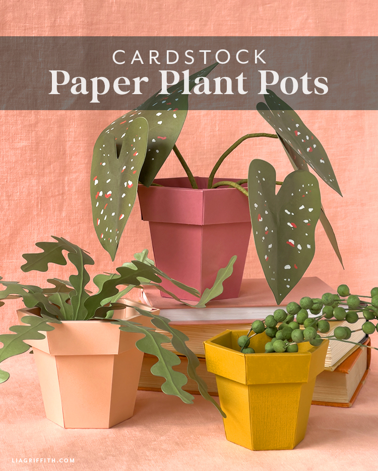 Paper Plant Pots DIY Template & Tutorial - Lia Griffith